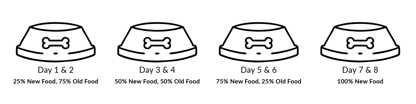 Switching Your Dog's Dog Food Diet | Lakes Collection